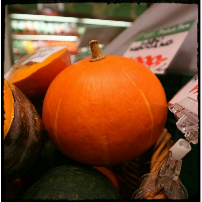 Jual PROMO -- SUPER HEMAT -- Isi 1000 Benih - Biji - Seed Labu Kabocha ...