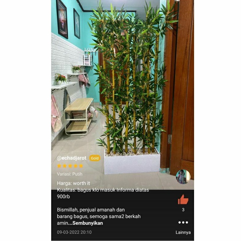 Jual bambu partisi 150cm - sekat tanaman bunga daun perlengkapan ...