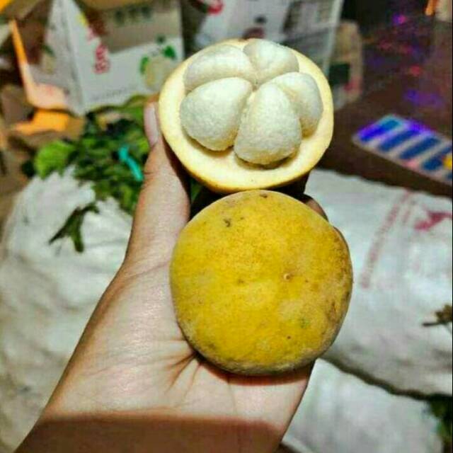 Jual Buah Sentul / Kecapi / Buah Jadul Mantul (1 kg) | Shopee Indonesia