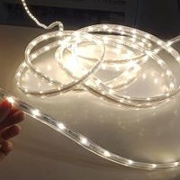 Jual Philips DLI 31086 HV LED TAPE LL White/50m-lampu led strip murah | Shopee Indonesia