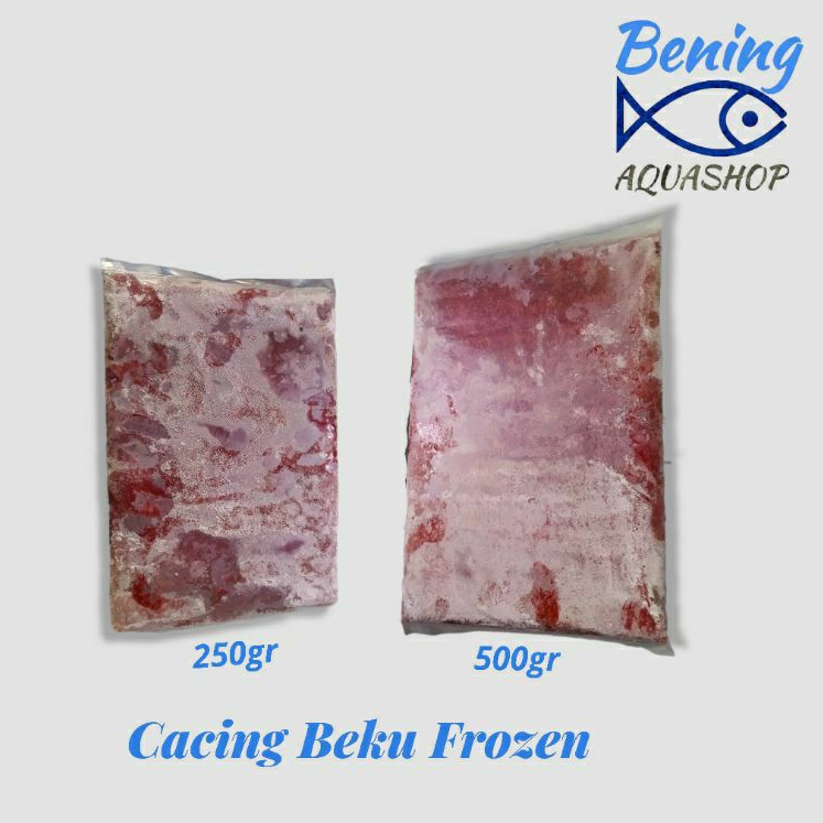 Jual Cabek Cacing Beku Frozen Bloodworm Blood Worm 500gr ( Gojek / Grab ...