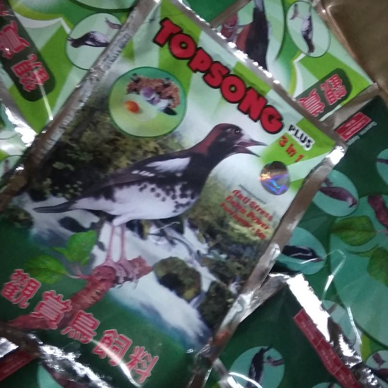 Jual topsong top song coklat / kuning pakan burung murai kacer jalak ...