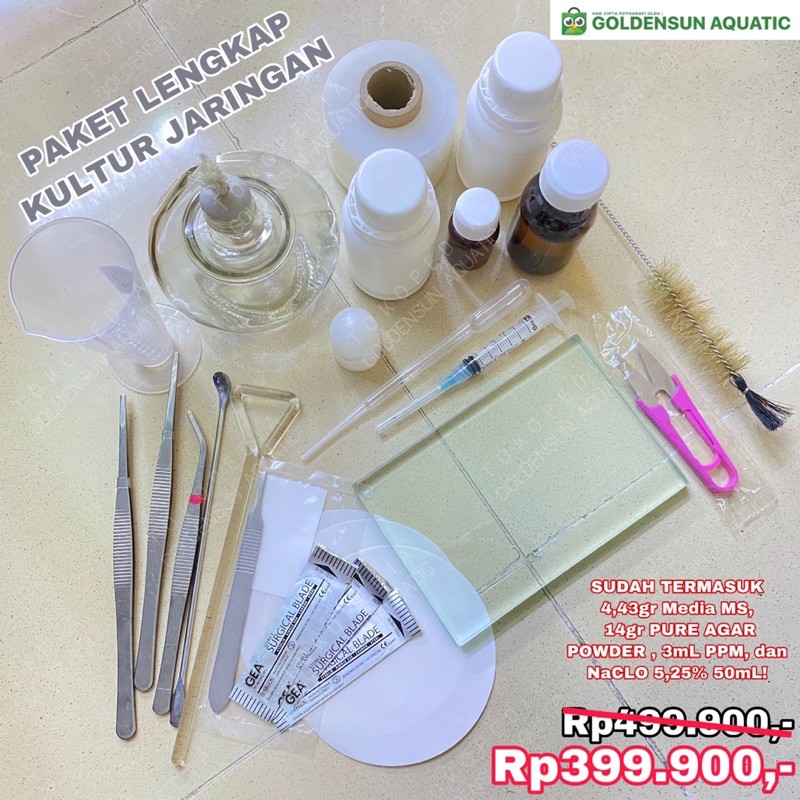 Jual PAKET LENGKAP ALAT KULTUR JARINGAN TANAMAN Set Kit Bahan ...