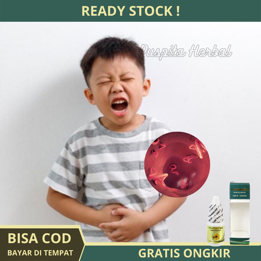Jual Solusi Obat Cacingan Untuk Anak Dan Dewasa - Obat Cacing Pasir di ...