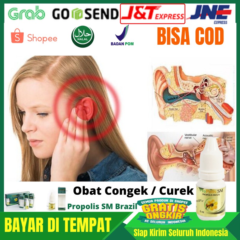 Jual Obat Tetes Telinga Congek, Telinga Bernanah, Telinga Berair, Sakit ...