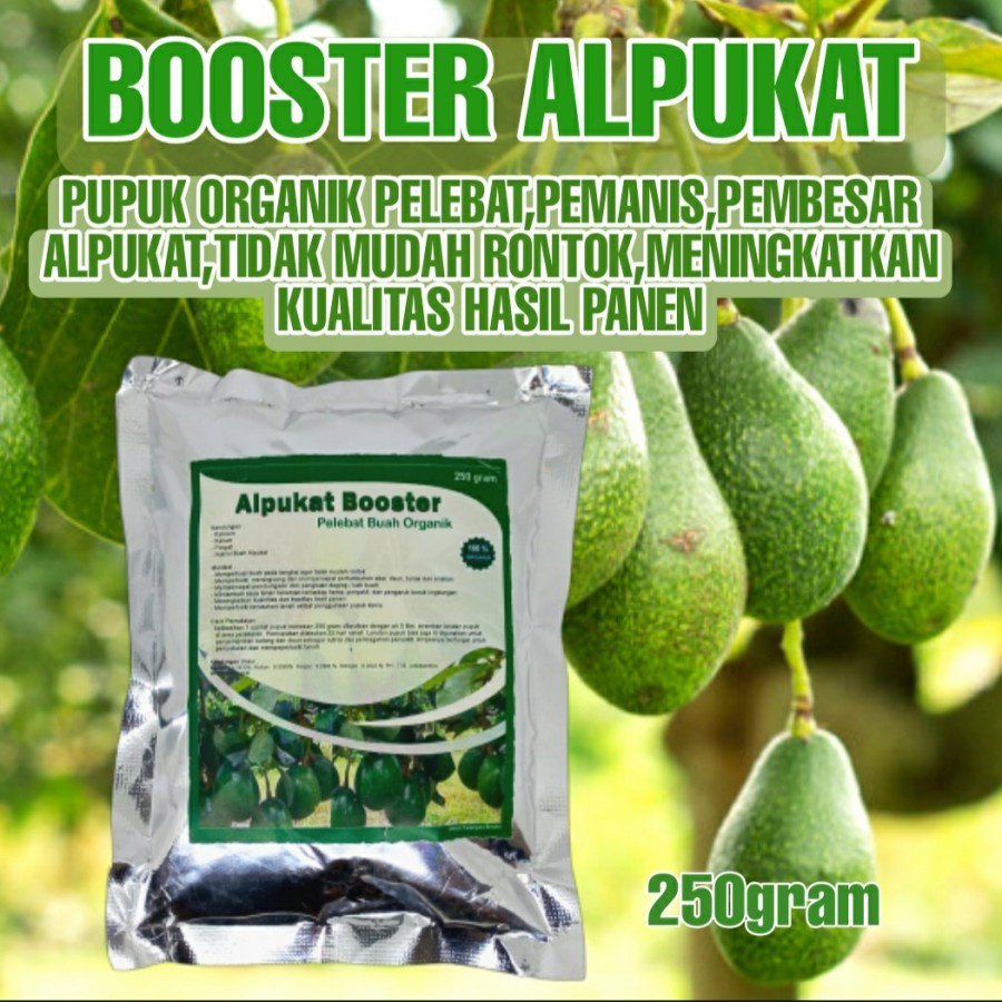 Jual Pupuk Alpukat Booster Organik Pelebat Perangsang Pemanis Buah Tanaman Alpukat 250gr ...