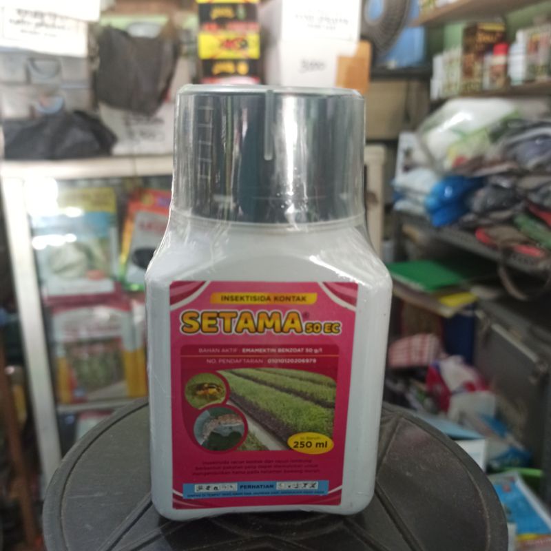 Jual INSEKTISIDA SETAMA 50 EC 250 ML PENGENDALI HAMA BAWANG | Shopee Indonesia