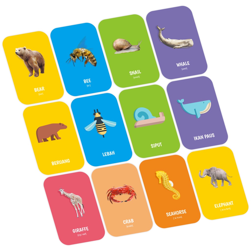 Jual FLASH CARD Hewan - BONUS CARDBOX | Shopee Indonesia