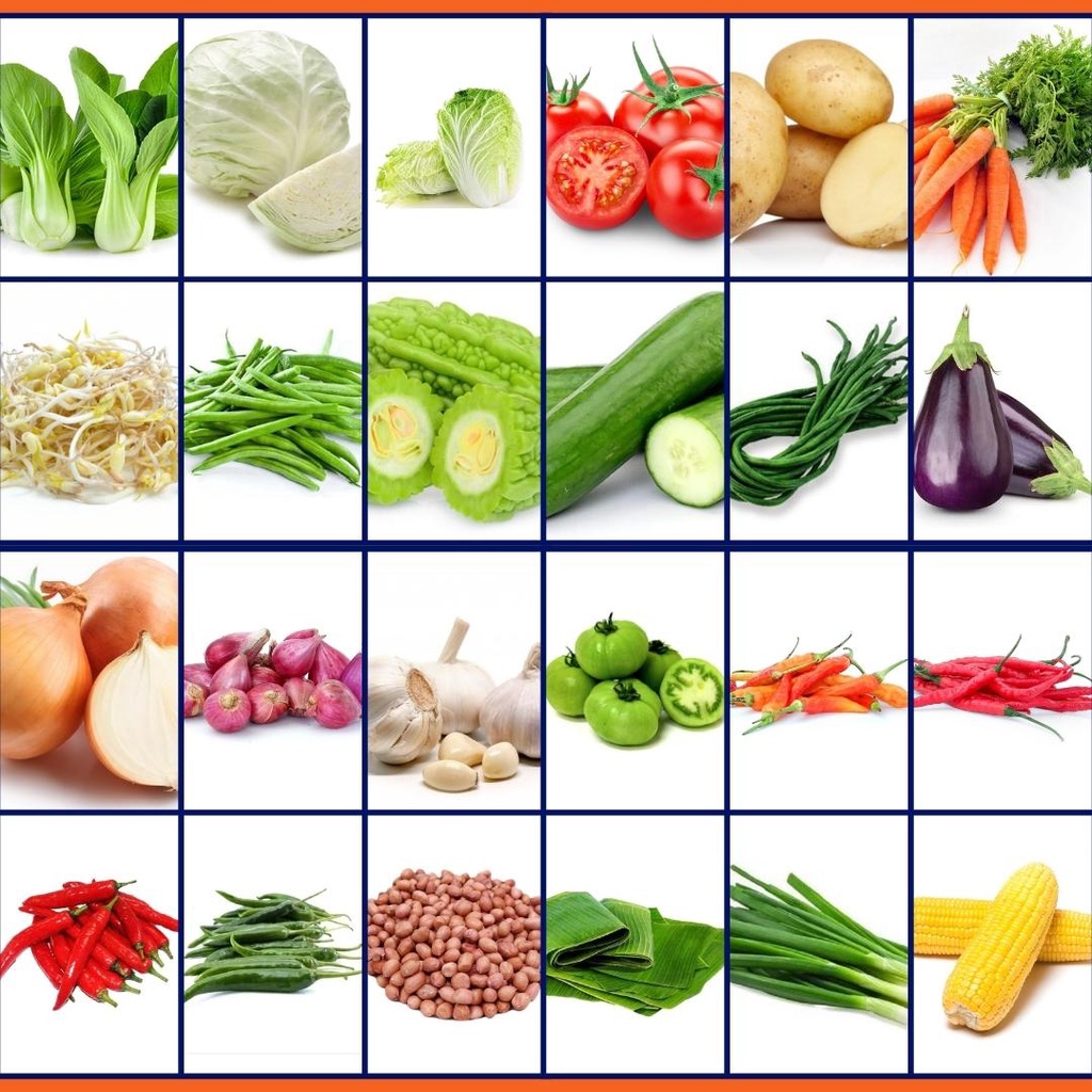 Jual Aneka Sayuran Segar Sayur Mayur Fresh Pasar Online [Bekasi ...