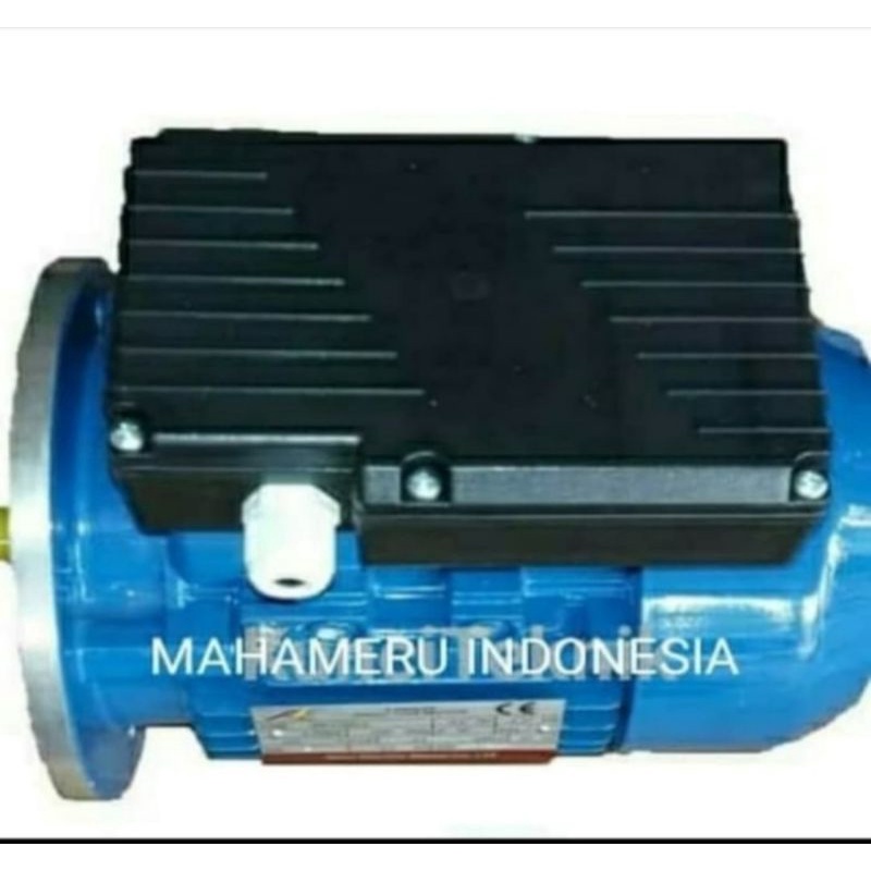 Jual Dinamo 2 HP 1 Phase 1400 Rpm 220V Type Flange B5 Famoze Pro | Shopee Indonesia