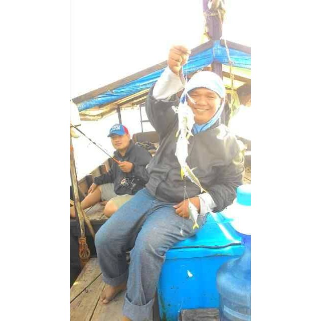 Jual Kotrek Merpati Sp Tembang Dan Selar | Shopee Indonesia