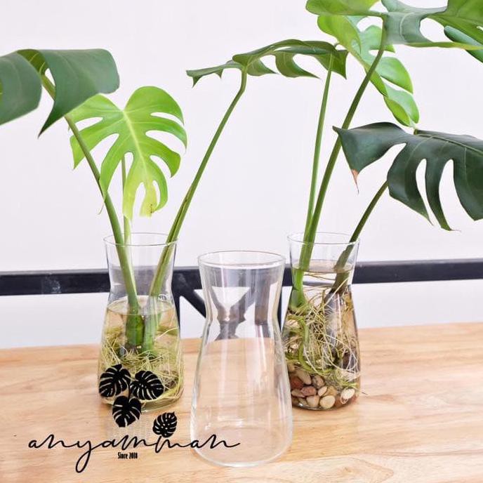 Jual POT KACA BENING KARAFE/VAS BUNGA KACA KARAF/PLANT WATER ...