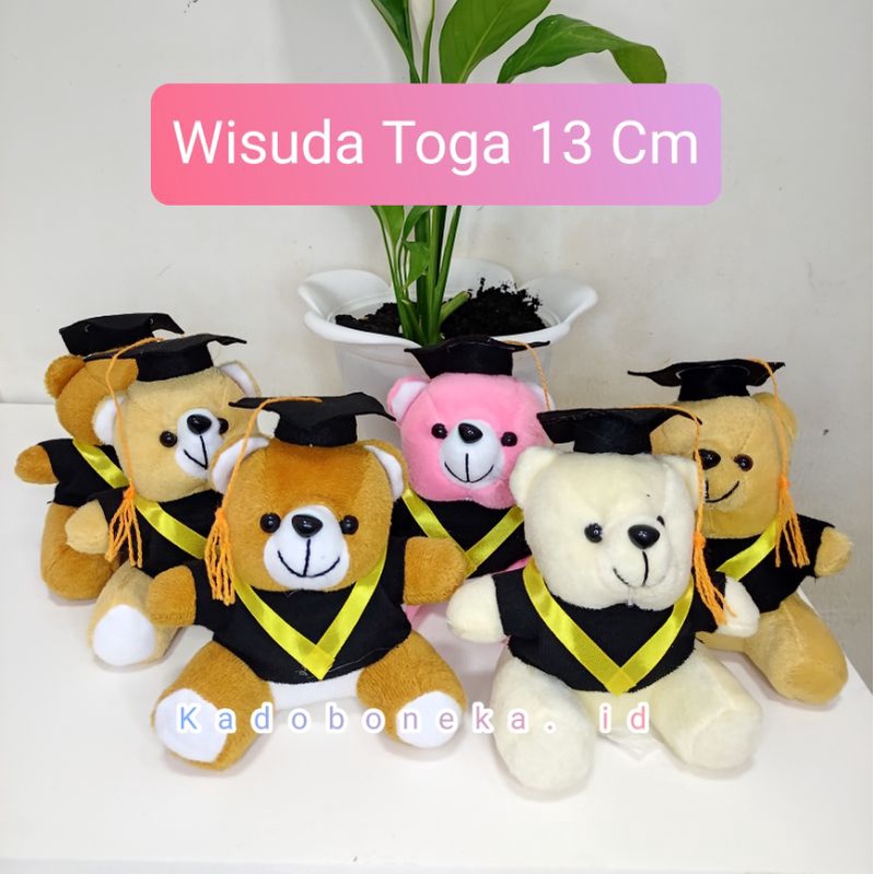 Jual Boneka Wisuda Mini / Boneka wisuda Toga 13 Cm | Shopee Indonesia