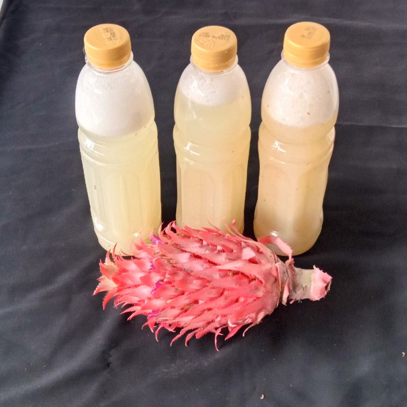 Jual Jus nanas merah per satu botol isi 400 gram | Shopee Indonesia