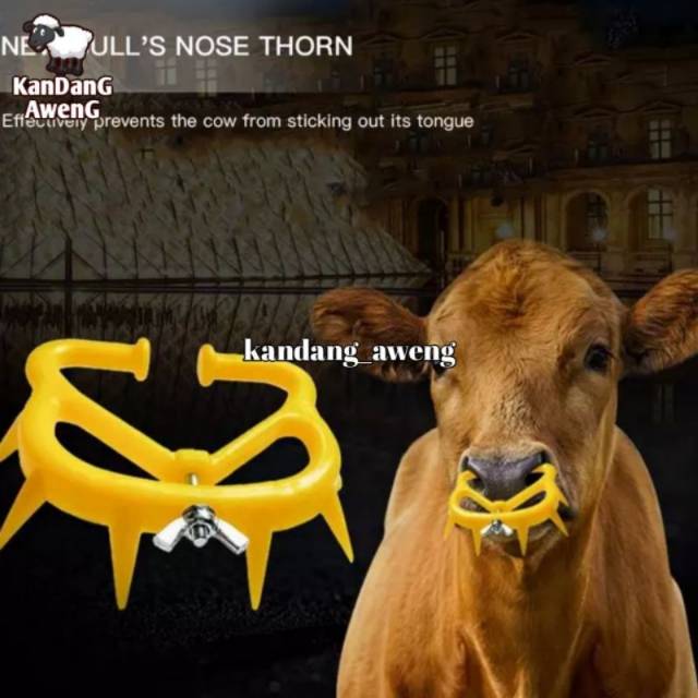 Jual Cincin Duri Tinik Hidung untuk Sapi, Kerbau Bahan Plastik | Shopee ...