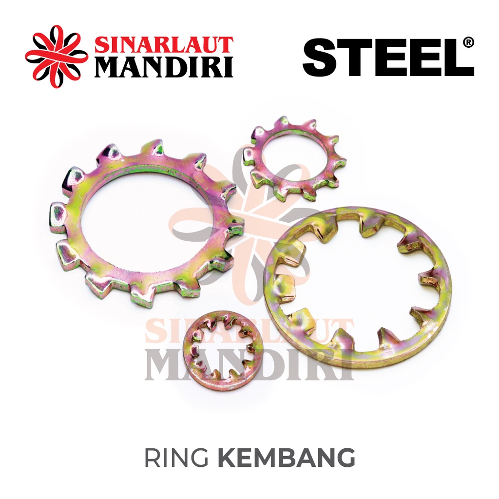 Jual Ring Kembang Besi / Tooth Washer M 6 | Shopee Indonesia