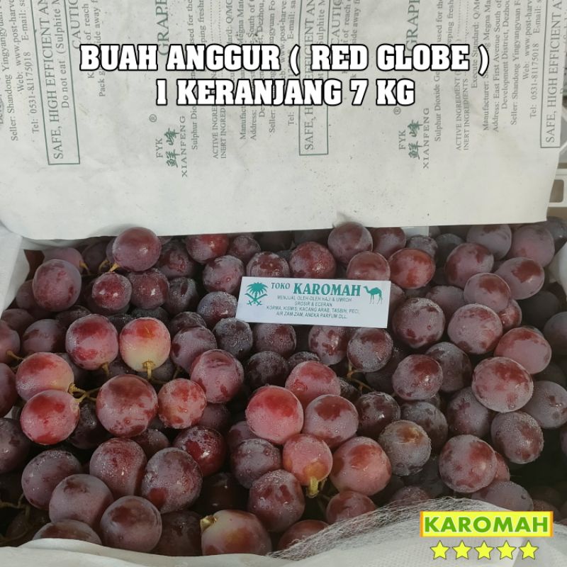 Jual BUAH ANGGUR 1 KERANJANG / BUAH ANGGUR 1 DUS BESAR ISI FRESH 7 KG ...
