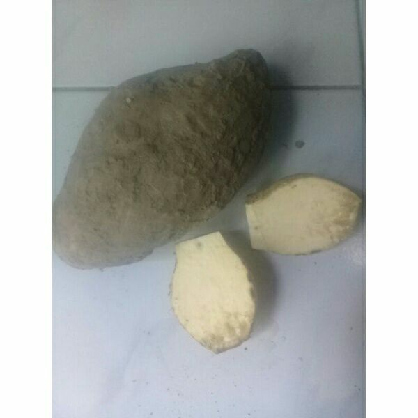Jual ubi Jawa ubi putih manis 1 kg jumbo / telo tawangmangu/sweet ...
