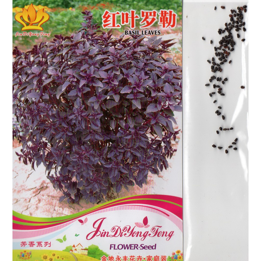 Jual (100 biji) Bunga Basil Leaves (B0108) | Shopee Indonesia