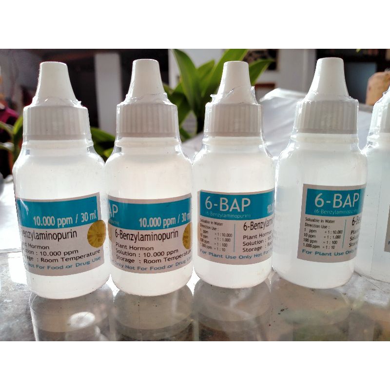 Jual Hormon 6 BAP (biru) | Shopee Indonesia