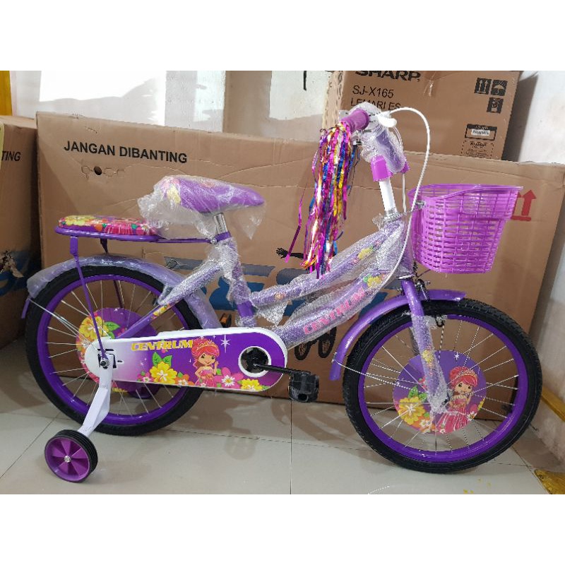 Jual Sepeda Anak Sepeda Mini 18 inch CENTRUM STRAWBERRY ( Warna Ungu ...