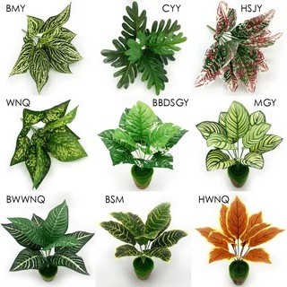 Produk MYSTYLE Official Store | Shopee Indonesia