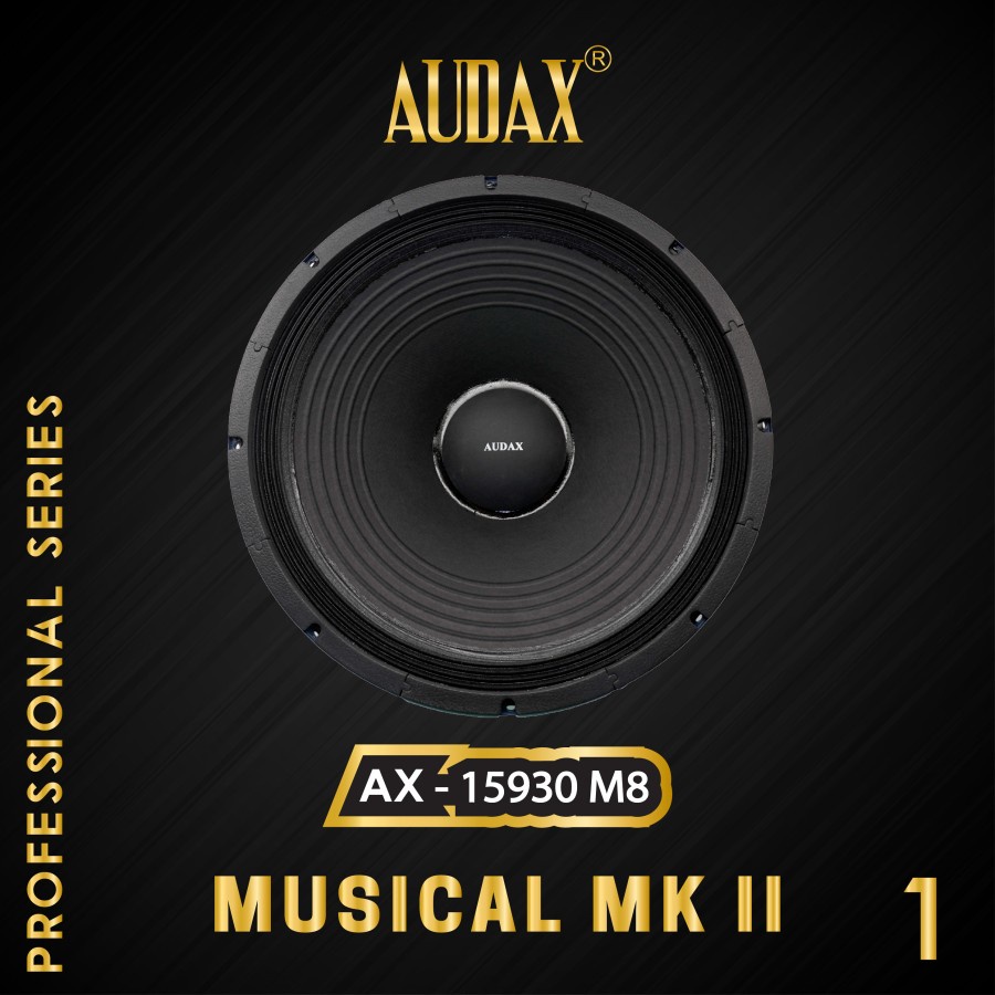 Jual Audax - Speaker Pasif 15" AX-15930 M8 Professional Series Full Range | Shopee Indonesia