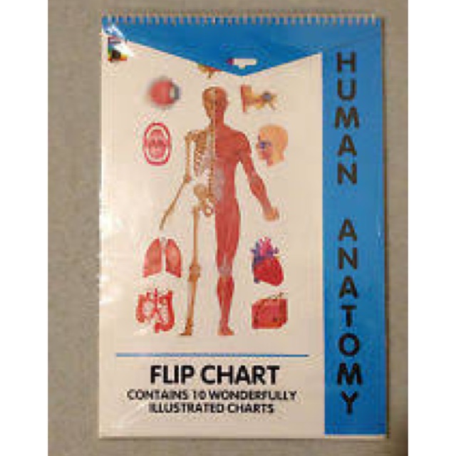Jual Human Anatomy Flip Chart - spiralbound | Shopee Indonesia
