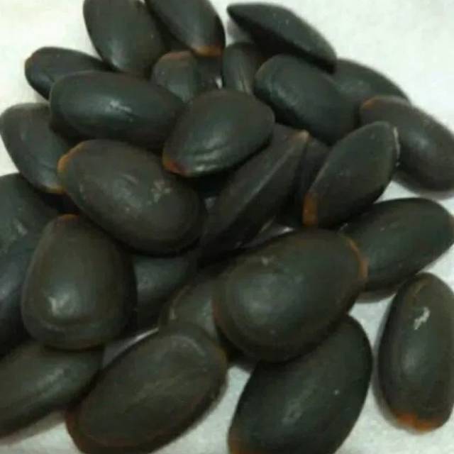Jual Biji Kedawung Super /Buah Kedaung Murni Herbal 500GR | Shopee ...