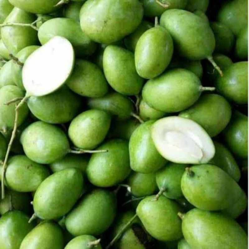 Jual Mangga Muda Pelam Segar 500gr 1kg Pelem Asam Segar Mangga rujak ...