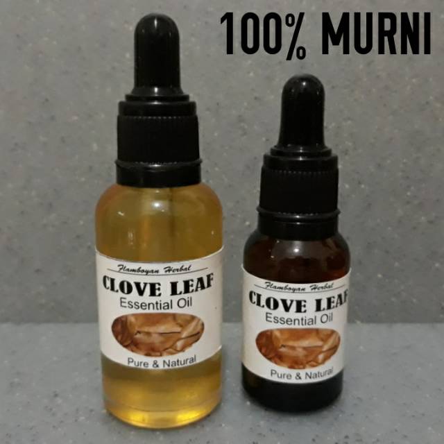 Jual Minyak Cengkeh MURNI 30ml - Clove Leaf Oil - Minyak Daun Cengkeh MURNI | Shopee Indonesia