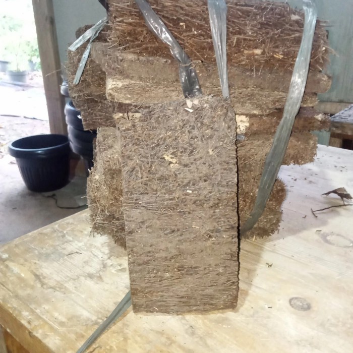 Jual Media Tanam Pakis Kotak Lempeng Balok | Shopee Indonesia