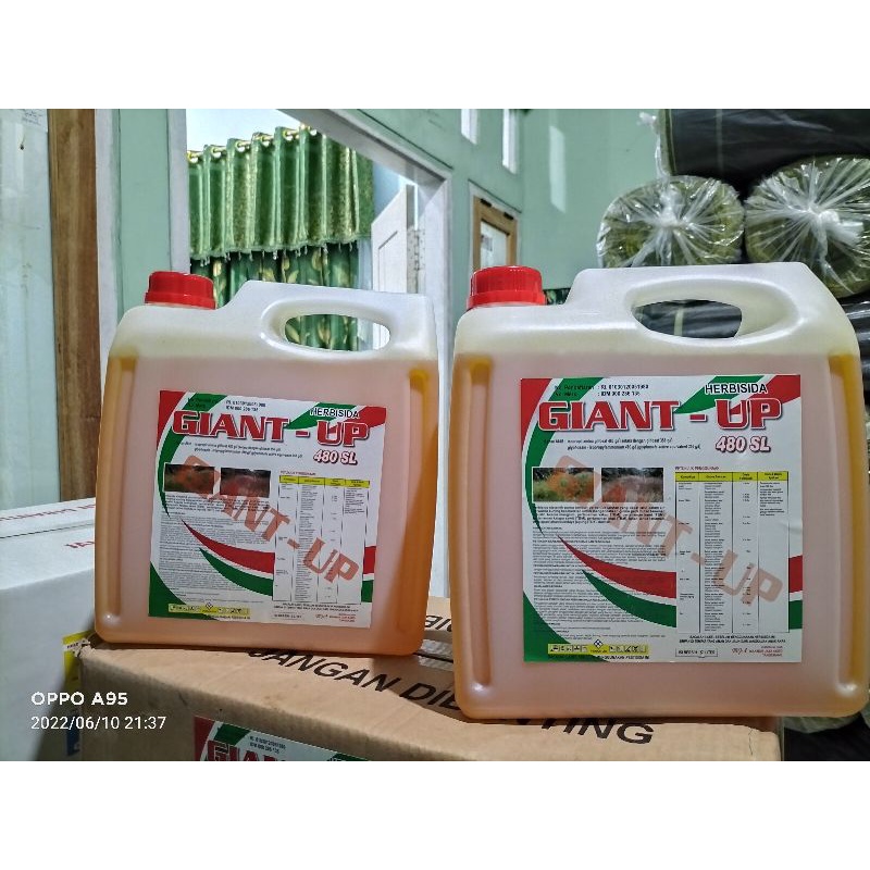Jual Herbisida Giant up racun rumput sistemik kemasan 5 liter bonus ...