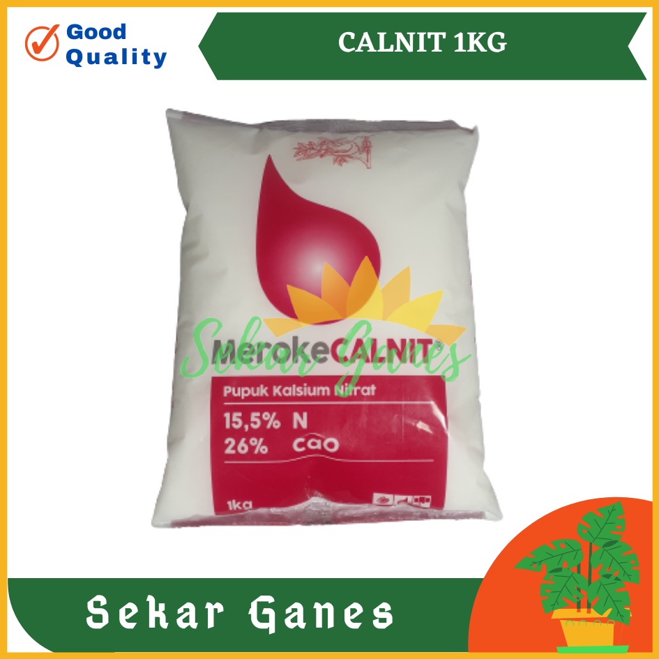 Jual Ori Pupuk Calnit 1 Kg Pupuk Meroke Calnit 1kg Kalsium Nitrat ...