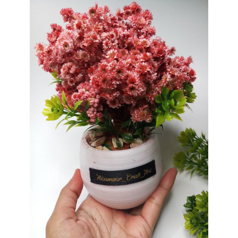 Jual BUNGA KERING + pot MINI POLOS plastik (1 SET) + BUNGA KERING ...