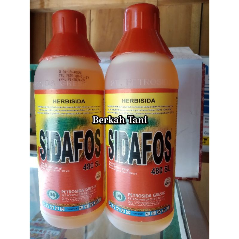 Jual Sidafos 480 SL Herbisida Sistemik 400ml/Obat Pengendali Gulma Daun ...
