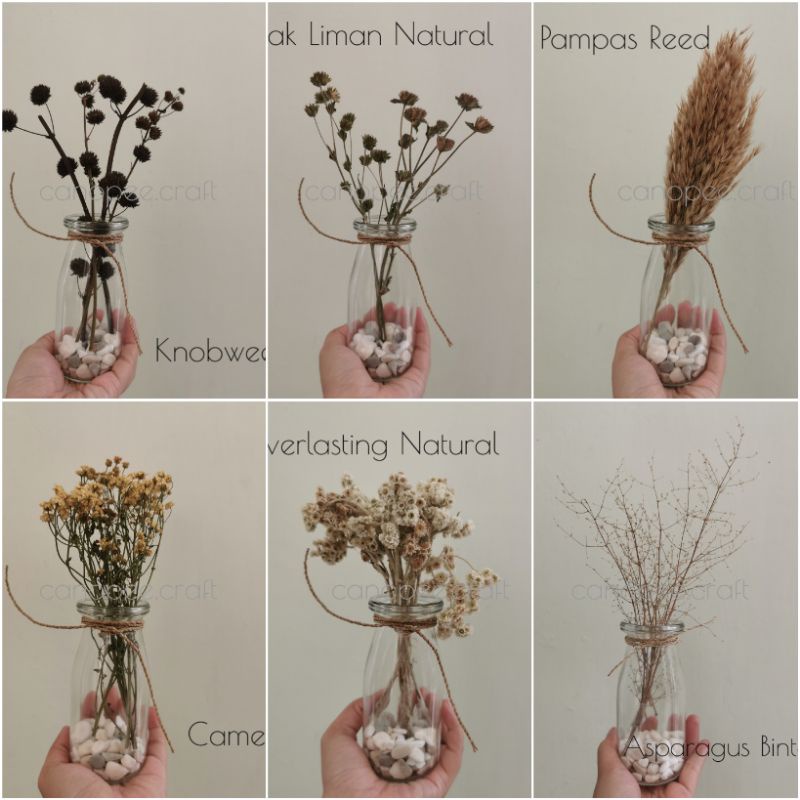 Jual VAS AESTHETIC BUNGA KERING DRIED FLOWER WITH VASE | Shopee Indonesia