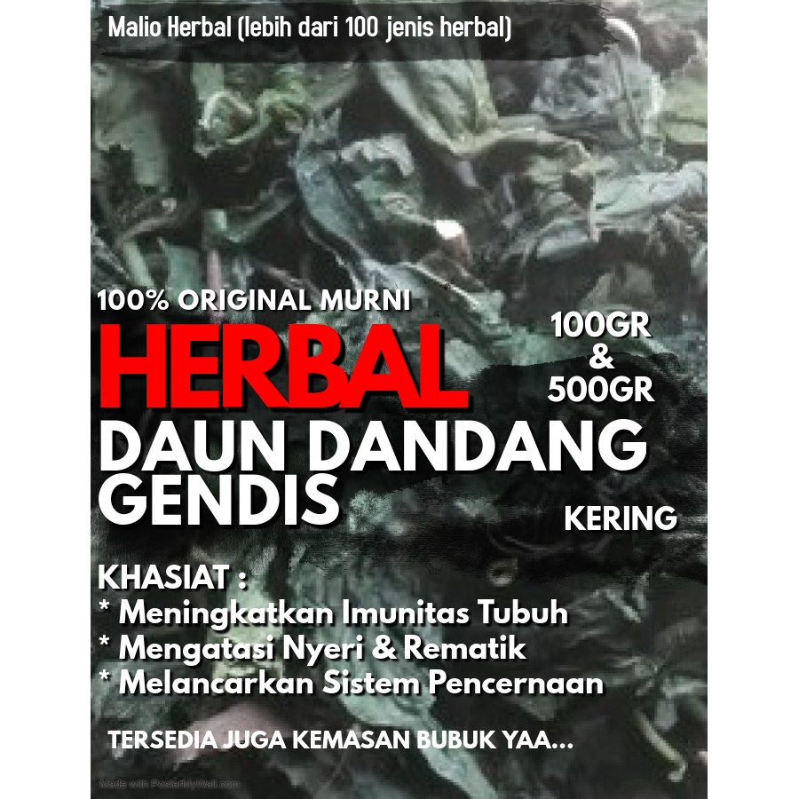 Jual Daun Dandang Gula / Dandang Gendis Kering 500gr / Mengatasi ...