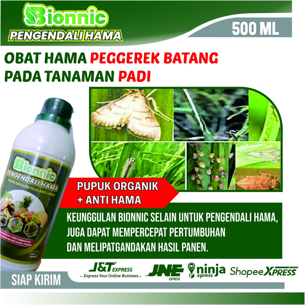 Jual Obat Anti Hama Penggerek Batang Pada Padi - BIONNIC Obat Pembunuh ...
