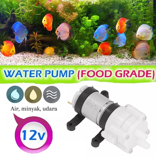 Jual Pompa Mini Motor Dc 12V Micro Pump High Pressure Diaphragm Water ...