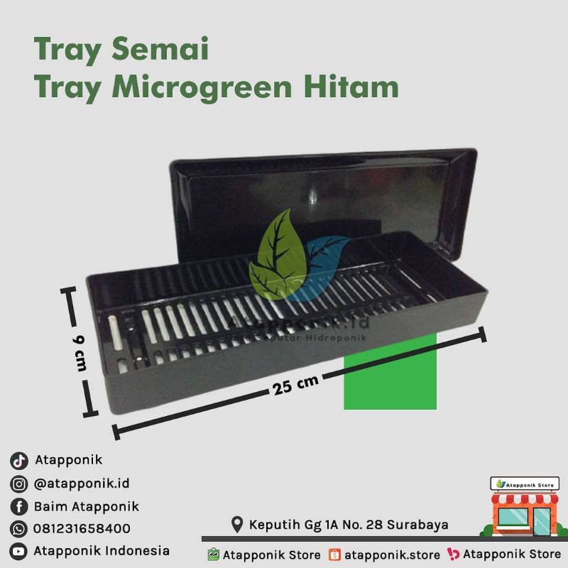 Jual tray semai microgreen - tray semai hidroponik - tray semai kotak ...