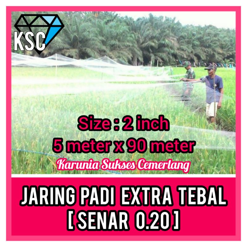 Jual JARING PADI SENAR TEBAL / JARING EMPRIT / JARING SAWAH / JARING ...
