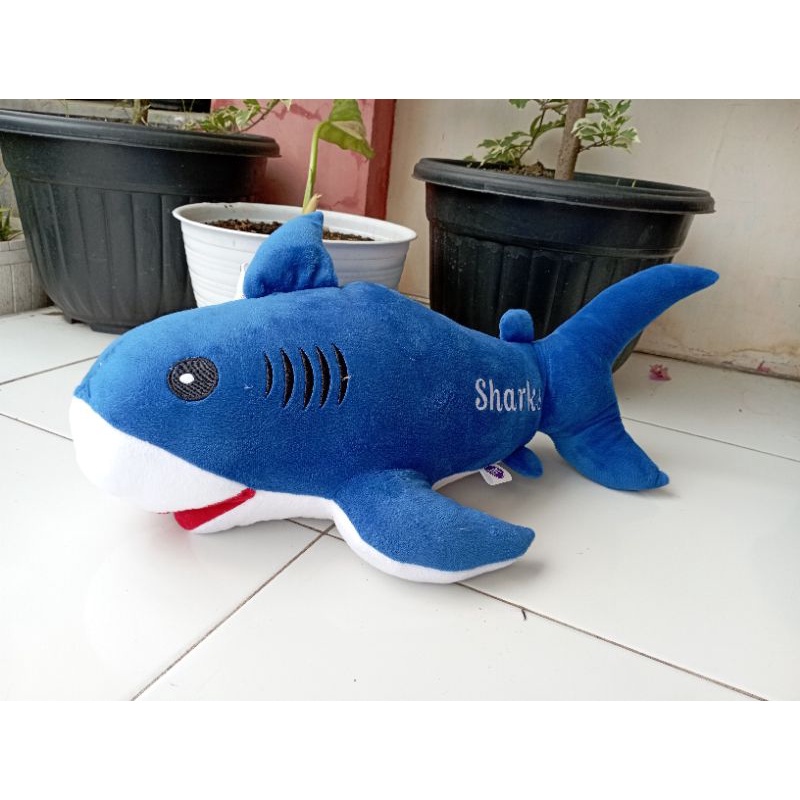 Jual boneka hiu biru Dan Banyak Variasi Pilihan Warna Hadiah Kado Gift ...