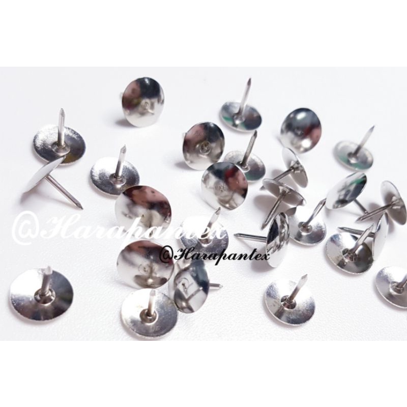 Jual (Box) Paku Tindis/Paku Payung/Paku Pinus/Paku Mading | Shopee ...