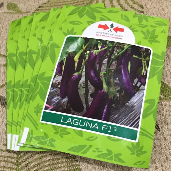 Jual Benih - Biji Terong Ungu LAGUNA F1 Cap Panah Merah - 5 Gram | Shopee Indonesia
