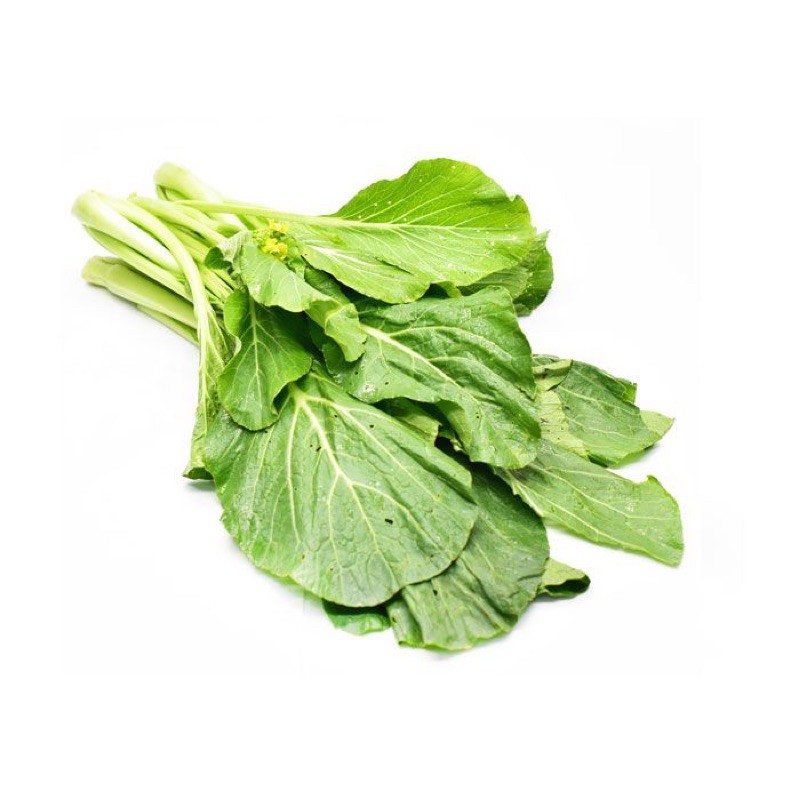 Jual Caisim Organik 200g | Shopee Indonesia