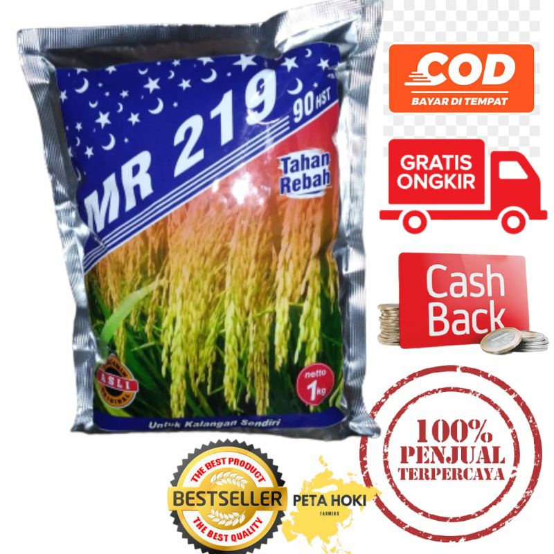 Jual Benih padi MR 219 padi anti roboh rebah anakan banyak bibit padi ...