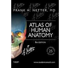 Jual NETTER - ATLAS ANATOMI NETTER HEAD AND NECK EDISI KE 6 KEDOKTERAN ...