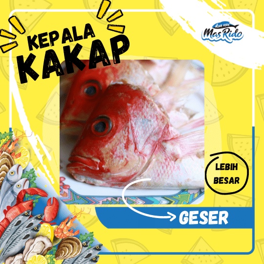 Jual Kepala Kakap Merah Besar Segar/Fresh Kwalitas Premium Harga Murah ...