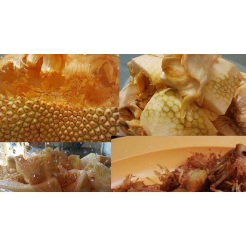 Jual kulit cempedak per 500gram mandai tiwadak | Shopee Indonesia